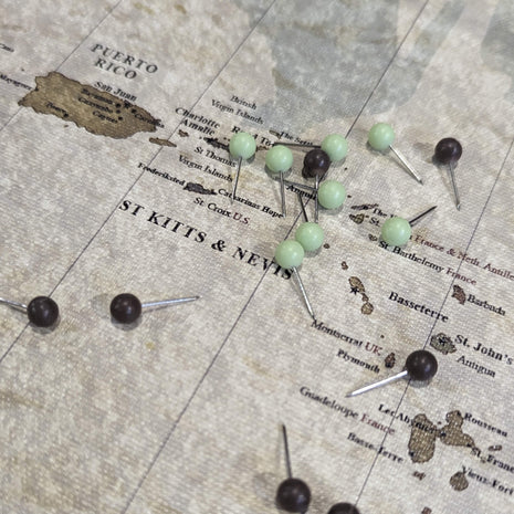 Caribbean Push Pin Travel Map - Single Panel | Holy Cow Canvas