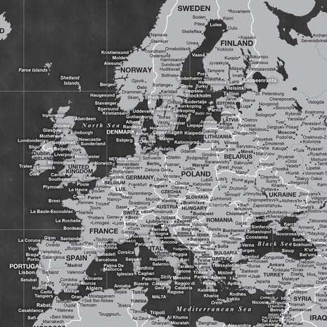Grey Push Pin World Map - Single Panel | Holy Cow Canvas