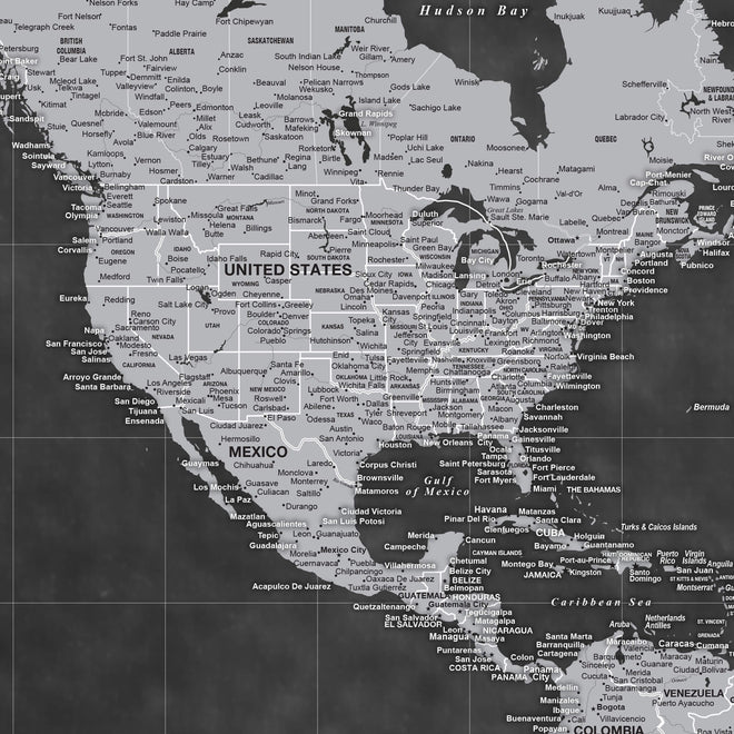 Grey Push Pin World Map - Single Panel | Holy Cow Canvas