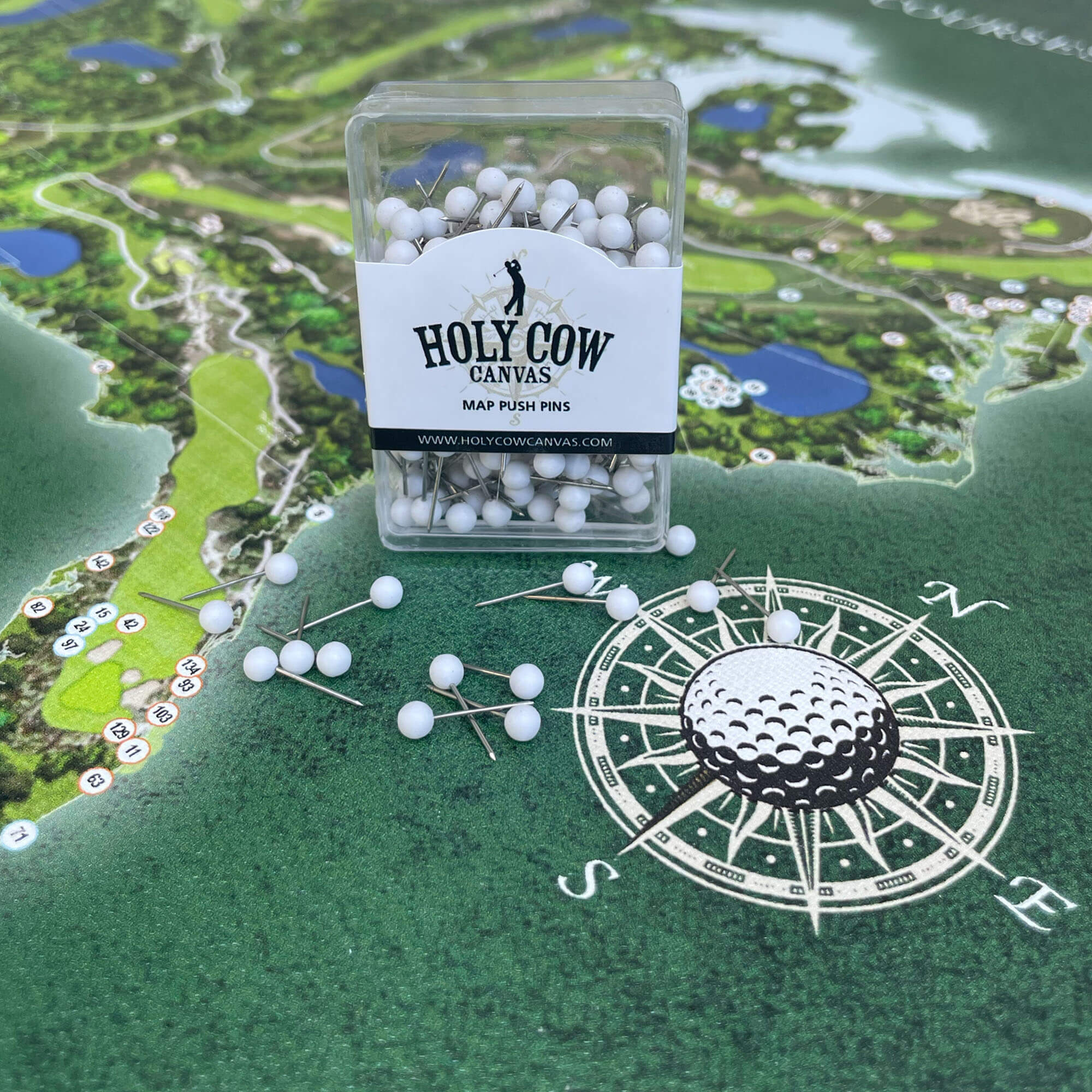 Extra Push Pins for Golf Maps | Holy Cow Canvas