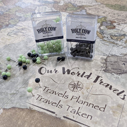Push Pin World Travel Map - Single Panel | Holy Cow Canvas