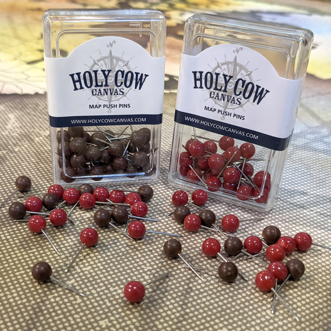 Push Pin World Travel Map - Single Panel | Holy Cow Canvas