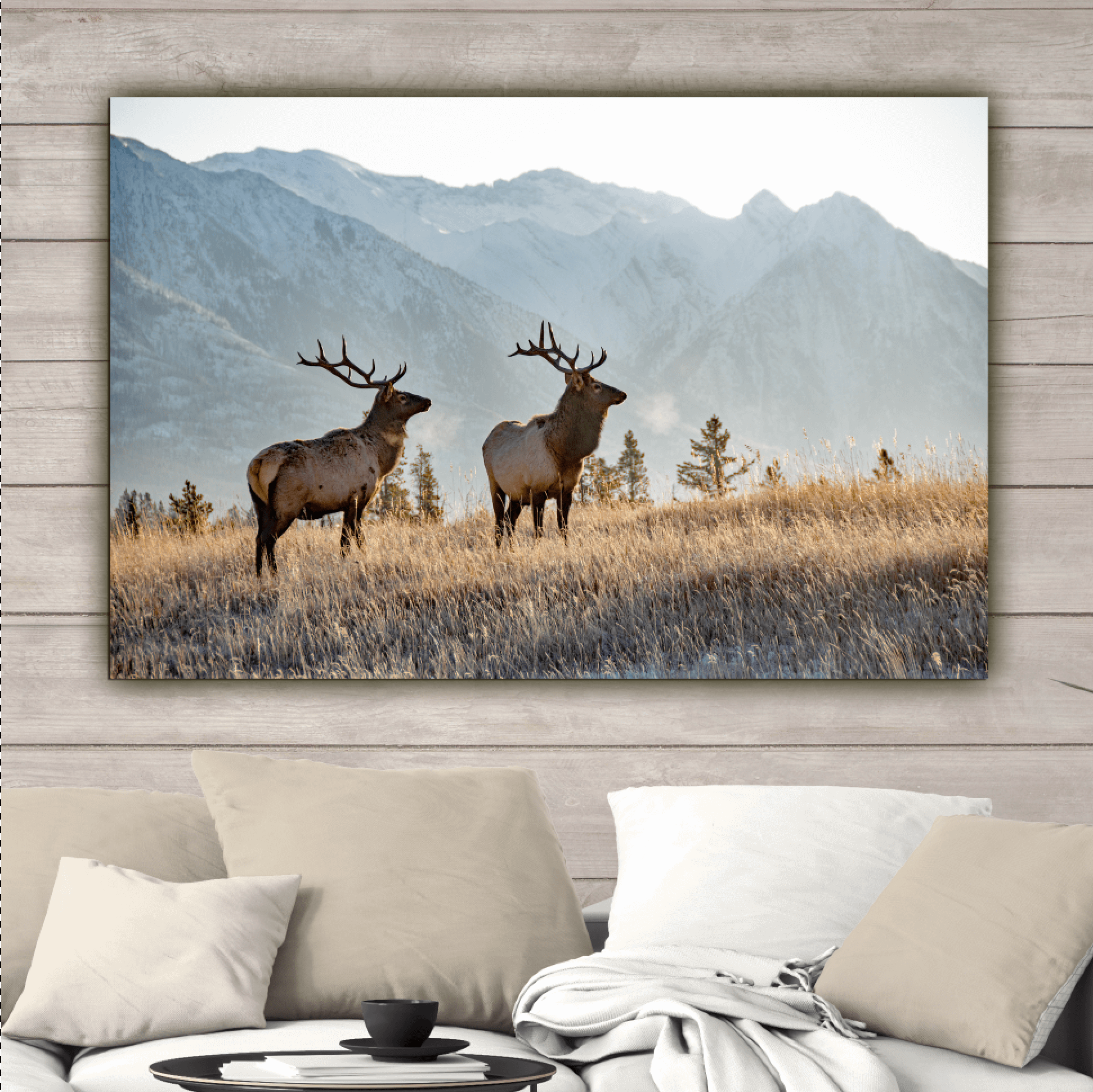Rocky Mountain Elk Canvas Wall Art | Holy Cow Canvas